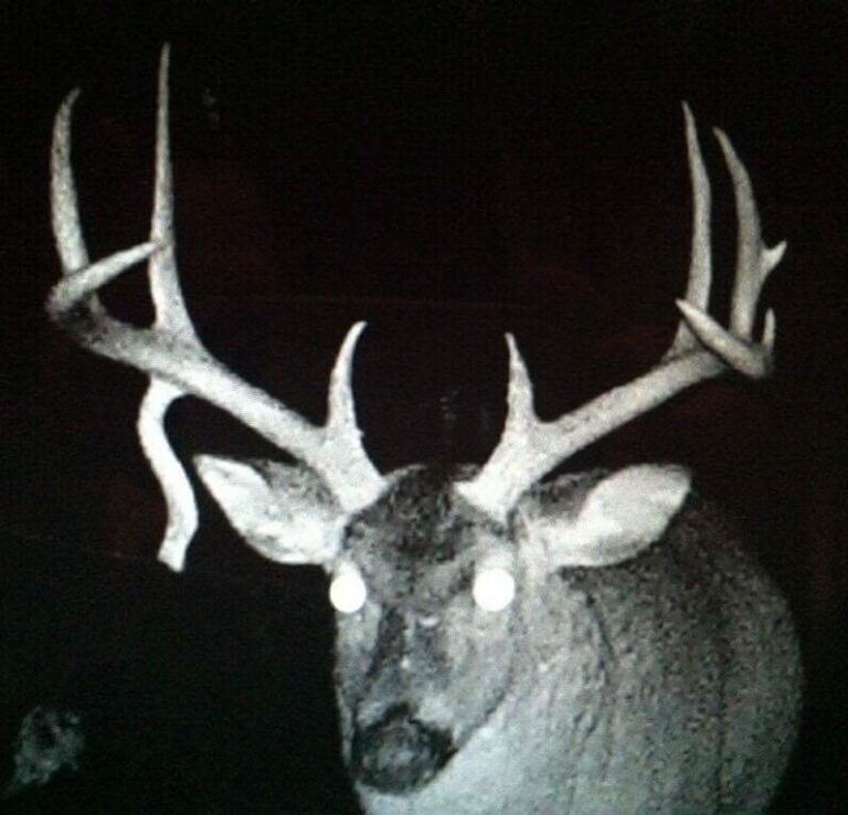 Start Planning to Shoot Your Next (or First!) Booner with Booner Max ...